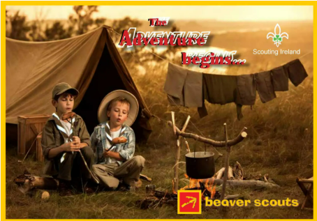 Beavers – Scouting Ireland Youth Programme