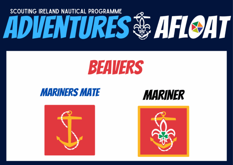 Beavers – Scouting Ireland Youth Programme