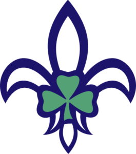 Scouting Ireland Youth Programme – The Scouting Ireland Youth Programme ...